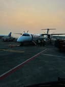 Case Studies | YCP Auctus